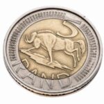 History of the South African Rand - Arcadia Finance