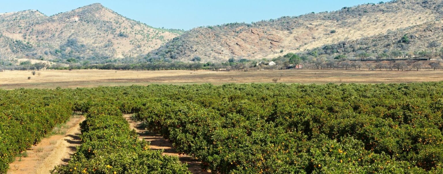 Loans in Rustenburg - Arcadia Finance